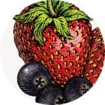 siggi's Icelandic yogurt - strawberry acai protein pack